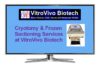 Frozen Sectioning (Cryotomy) Services - VitroVivo Biotech