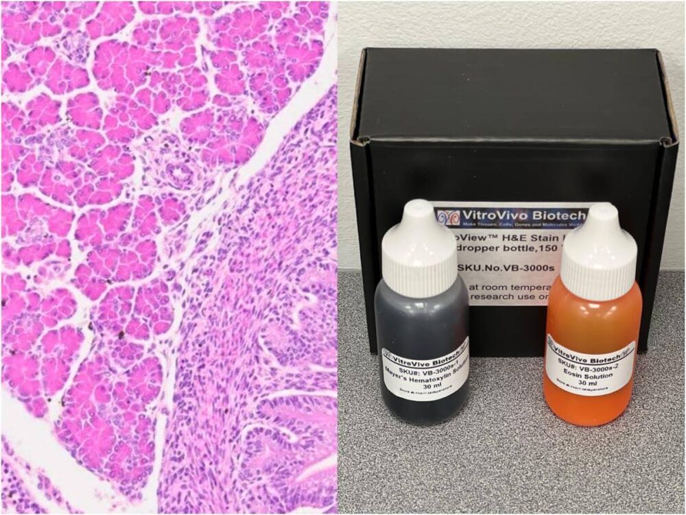 Histochemical Stains | Staining Kits for Routine