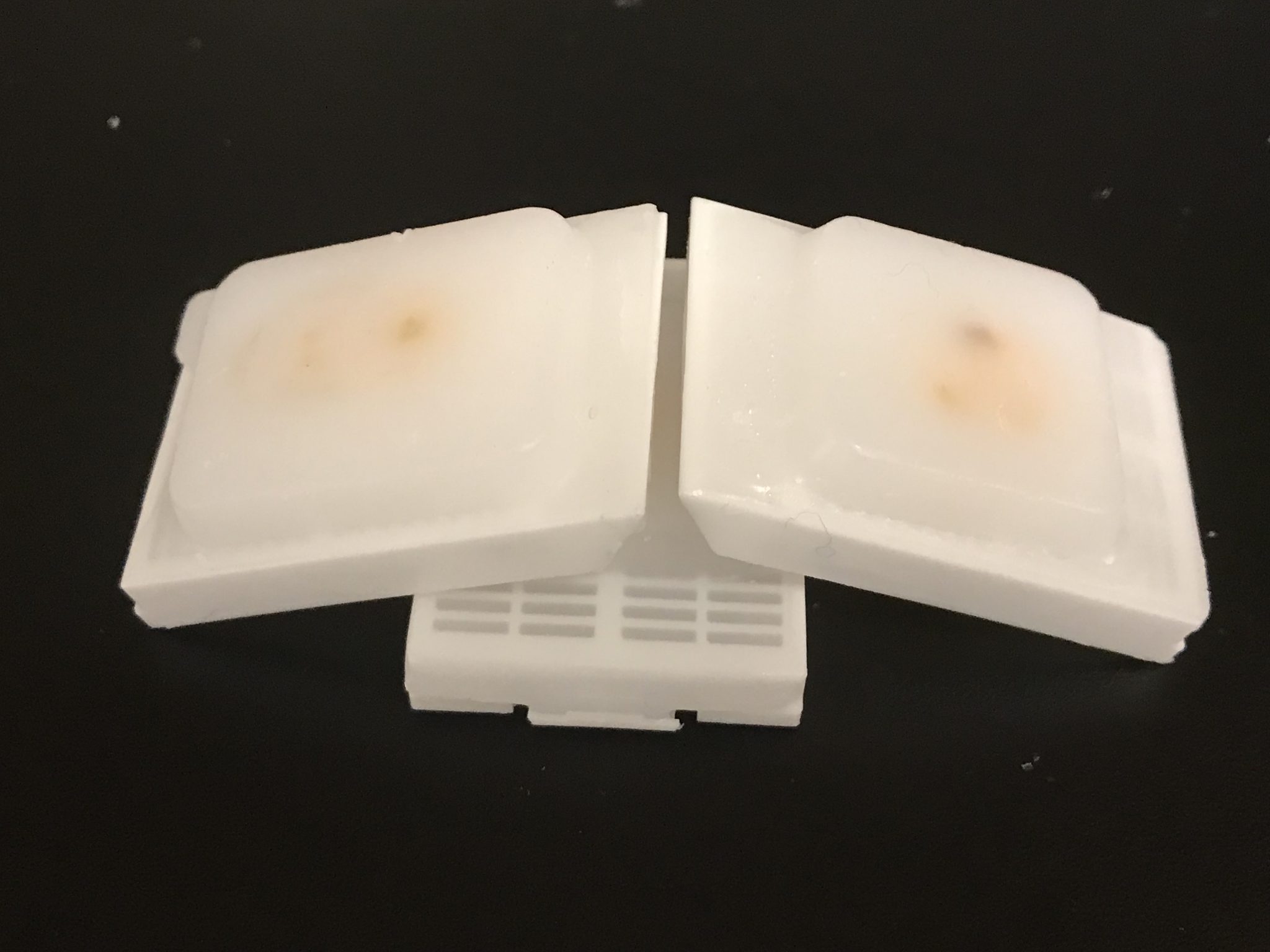 Human Tissue FFPE Blocks Archives