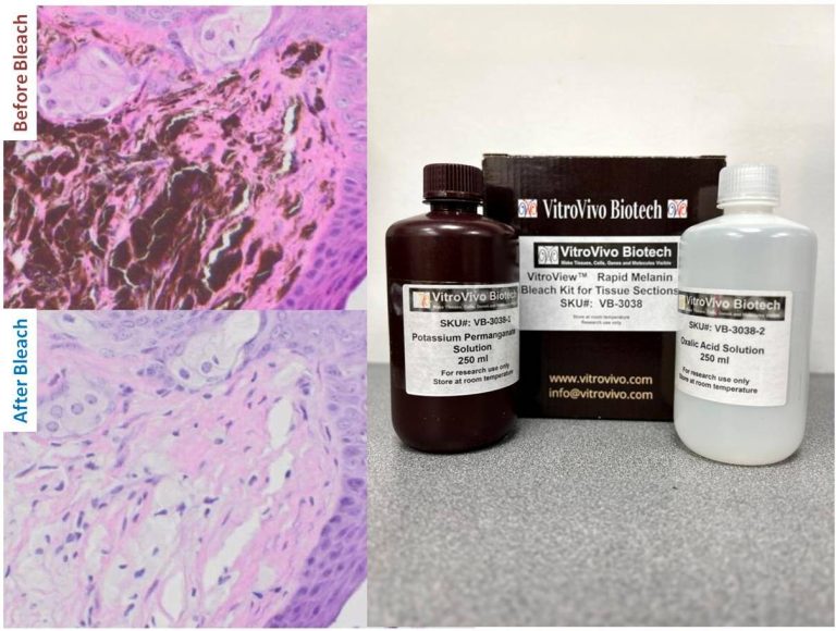 VitroView™ Rapid Melanin Bleach Kit for Tissue Sections
